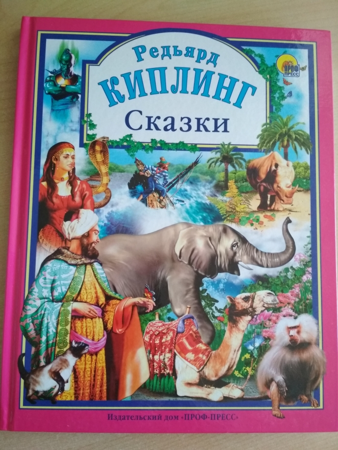 Детские книги, учебник по русскому языку за 5 класс